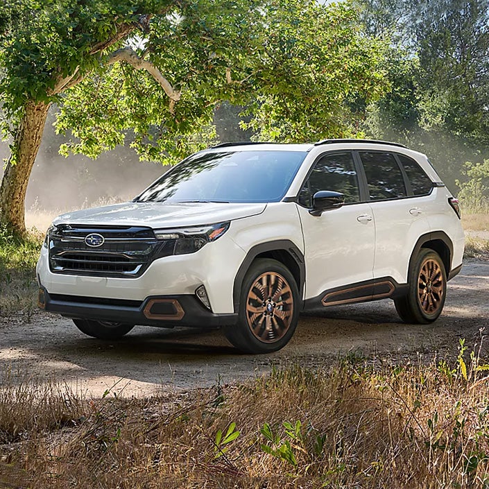 Subaru Dealership In Johnson City, TN